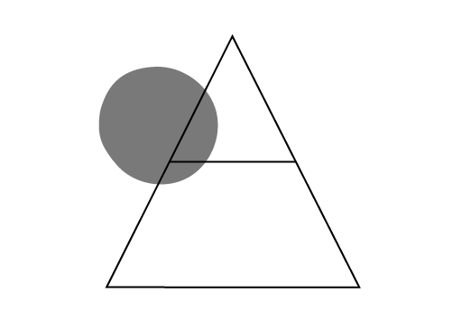 Vital Psychedelic Training